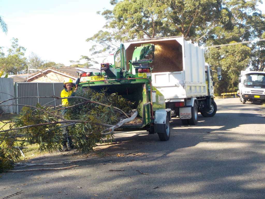 Commercial Tree Services Nowra - A&D Tree Services
