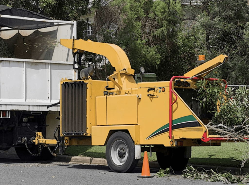 Telltale Signs of Tree Removals that You Should be Aware of